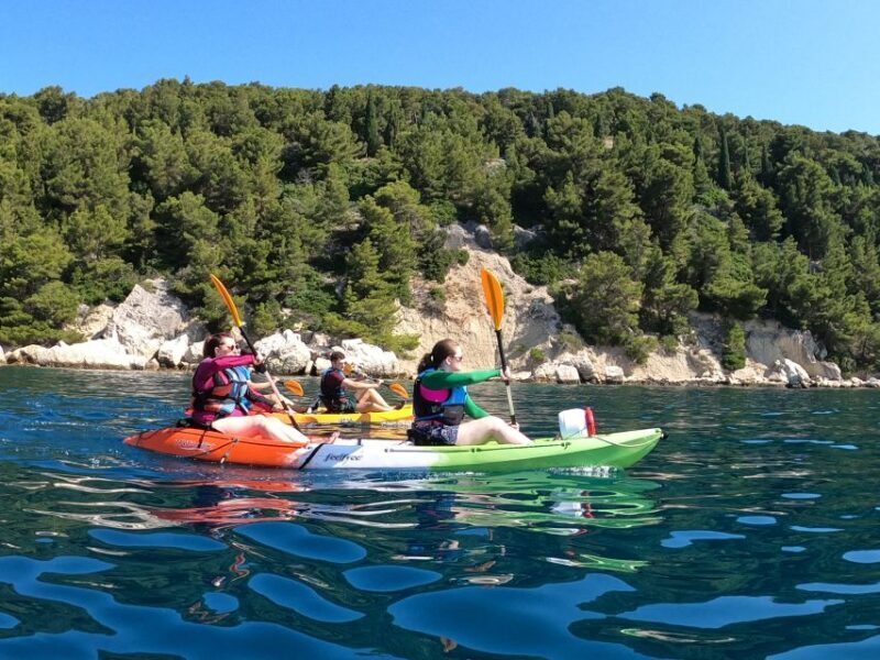 Morning Split Sea Kayaking Tour - Value for Money