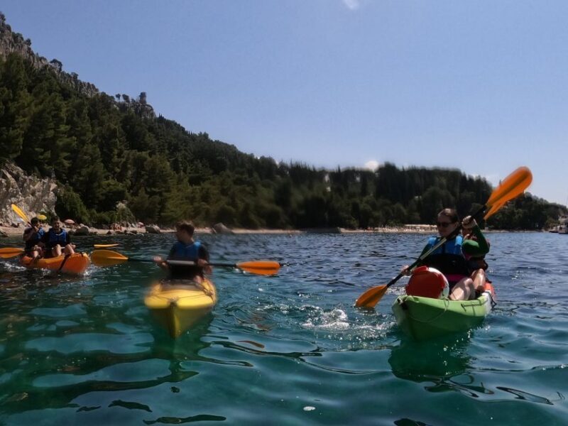 Morning Split Sea Kayaking Tour - The Sum Up: Who Is This Tour Best For?