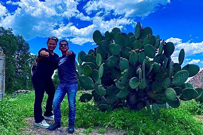 Morning Tour of the Teotihuacan Pyramids - The Value Proposition