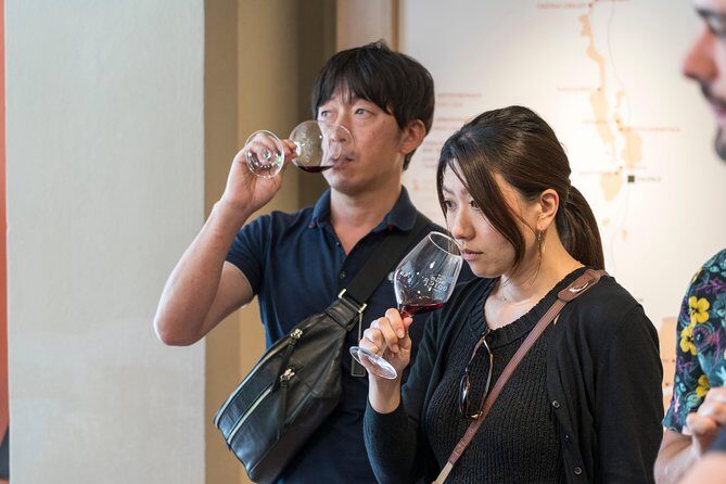 Morning Wine Tour to Chateauneuf du Pape from Avignon - Key Points