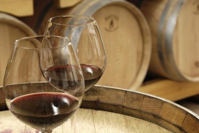 Morning Wine Tour to Chateauneuf du Pape from Avignon - Final Thoughts