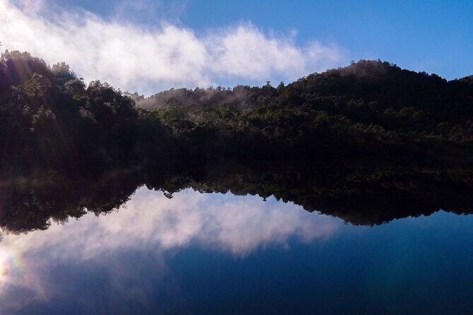 Morning World Heritage Cruise on the Gordon River from Strahan - The Sum Up: Who Is This Tour Best For?