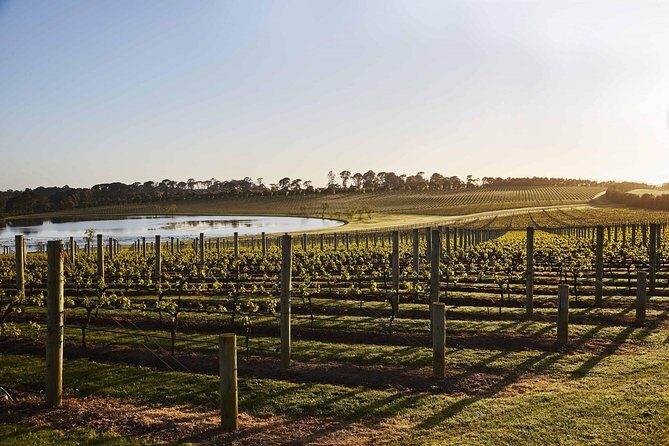 Mornington Peninsula Food and Wine Taste Trail - The Itinerary in Detail: Why Each Stop Matters