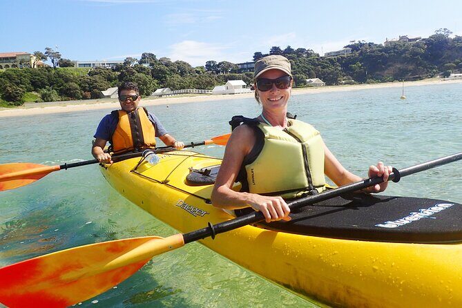 Mornington Peninsula Kayak Coastline Tour of Dolphin Sanctuary - Is It Worth the Price?