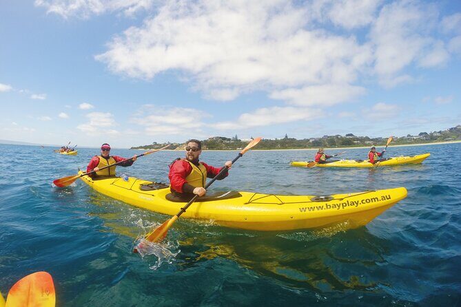 Mornington Peninsula Kayak Coastline Tour of Dolphin Sanctuary - Final Thoughts: Who Is This Tour Best For?