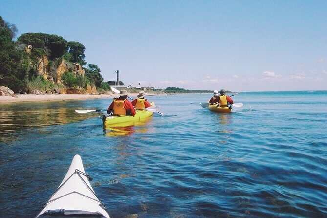 Mornington Peninsula Kayak Coastline Tour of Dolphin Sanctuary - FAQ