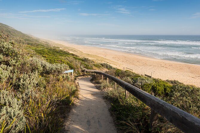 Mornington Peninsula Private Day Tour - Who Is This Tour Best Suited For?