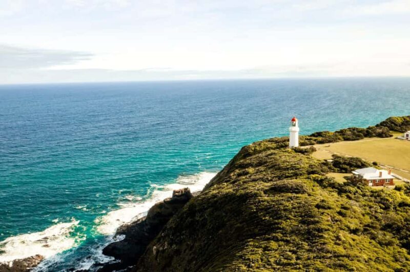 Mornington Peninsula Private Day Tour - A Deep Dive into the Mornington Peninsula Private Day Tour
