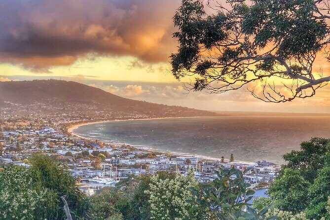 Mornington Peninsula Private Wine Tour. Your day. Your Way. - An In-Depth Look at the Mornington Peninsula Private Wine Tour