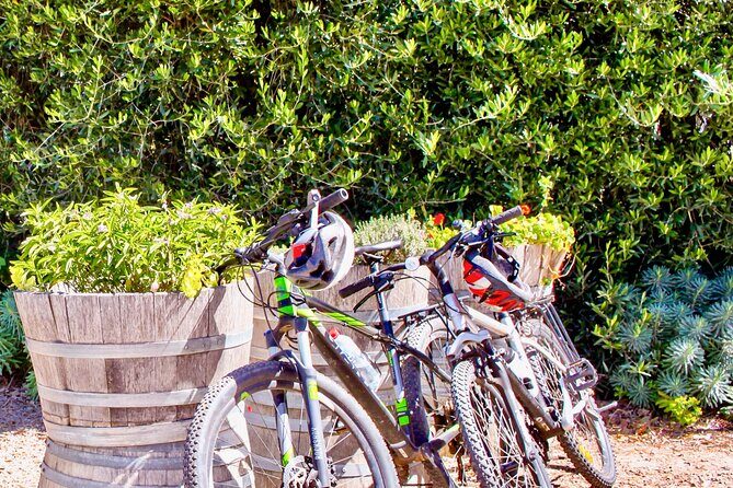 Mornington Peninsula Self-Guided Bike Tour | Food & Wine Region - An In-Depth Look at the Itinerary