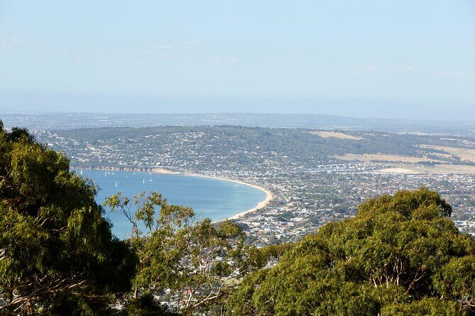 Mornington Peninsula Sightseeing and Bay Cruise - Authentic Experiences from Reviewers