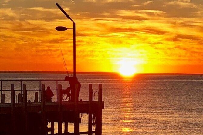 Mornington Peninsula Sightseeing and Bay Cruise - Who Is This Tour Best Suited For?