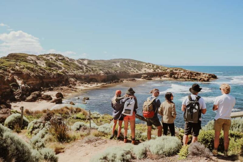 Mornington Peninsula: SUP, Hike, & Hot Springs Trip w/ Lunch - Key Points