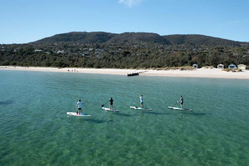 Mornington Peninsula: SUP, Hike, & Hot Springs Trip w/ Lunch - Authentic Experiences & Highlights from Reviewers