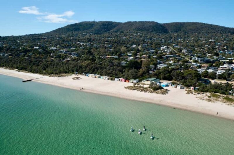 Mornington Peninsula: SUP & Snorkel Safari Tour incl Brunch - The Practicalities of the Tour