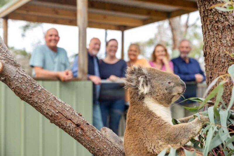 Mornington Peninsula Tour: wildlife, wine, art & hot springs - FAQ