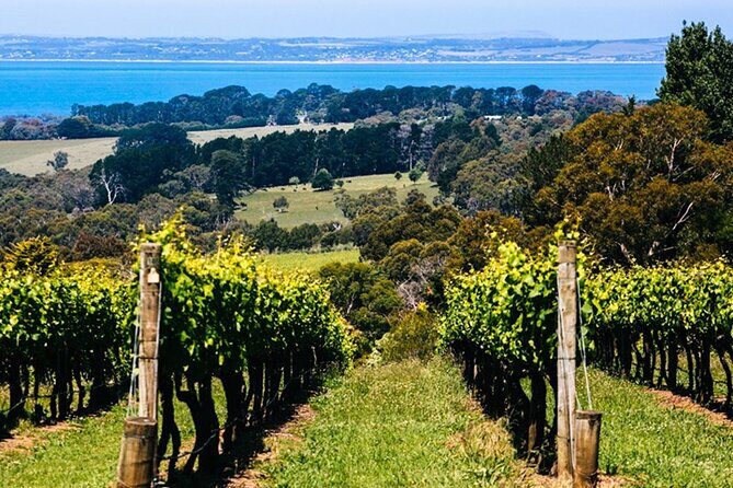 Mornington Peninsula Winery, Beer and Spirits Tour - The Sum Up