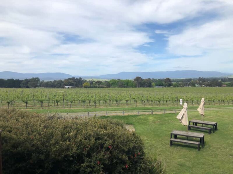 Mornington Peninsula Winery Bus Tour with Lunch & Wine - Key Points