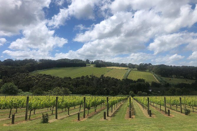 Mornington Peninsula Winery Tour - Lunch Included - Who Is This Tour Best For?