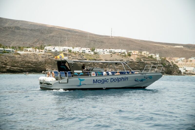 Morro Jable: Dolphin & Whale Watching Cruise, Drinks & Swim - The Itinerary: What You Can Expect