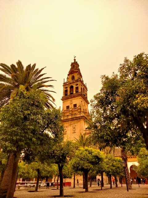 Mosquée Cathédrale tour guidé en petit group en français - Why Choose This Córdoba Mosque-Cathedral Tour?