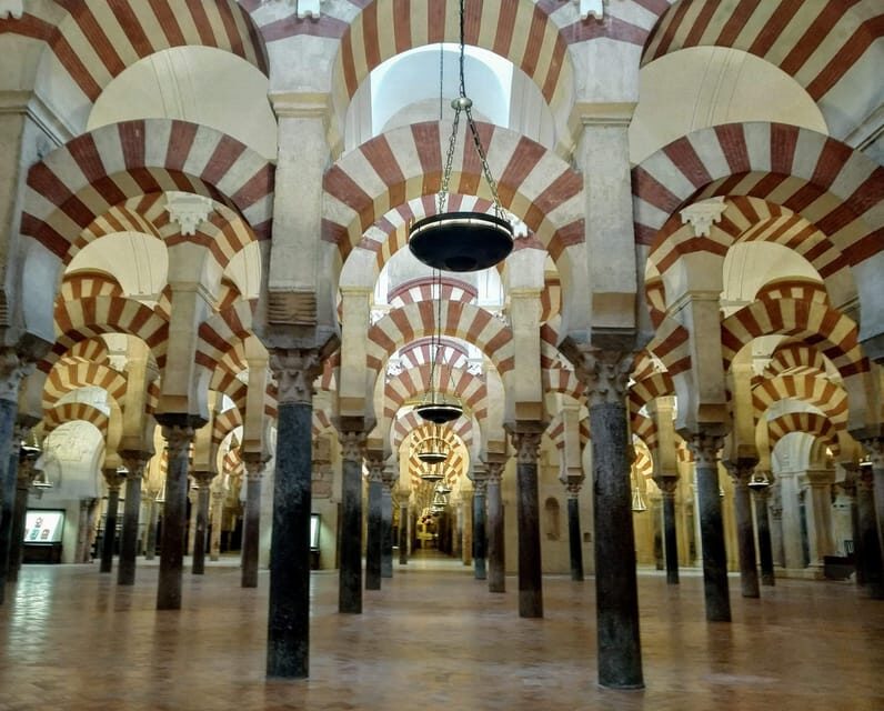 Mosquée Cathédrale tour guidé en petit group en français - Who Would Love This Tour?