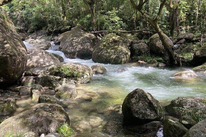 Mossman Gorge Daintree Experience Small Groups - The Sum Up