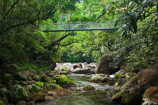 MOSSMAN GORGE TRANSFER between Port Douglas and Mossman Gorge (return) - FAQ