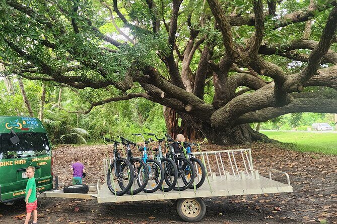 Mossman Highlights eBike Tour - Tasting and Relaxing: Shannonvale Winery and the Chocolate Farm