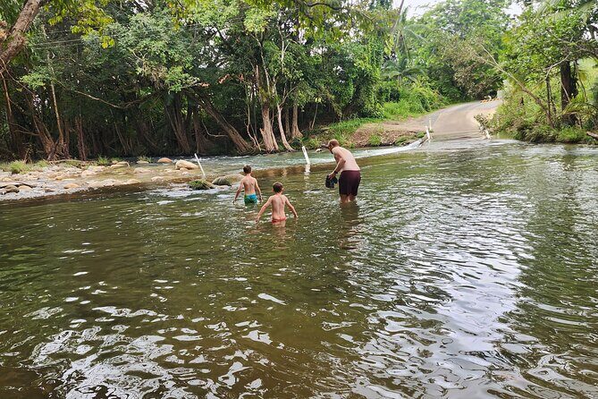 Mossman Highlights eBike Tour - The Sum Up