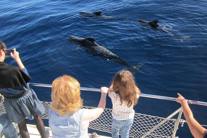 Most Famous Catamaran in Tenerife Island (2 hours and 3 hours tours) - What Could Be Better