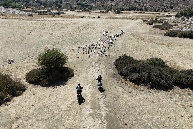 Moto Adventure Crete - Single & Multi Day Tours - On & Off Road - An In-Depth Look at the Crete Motorcycle Tour