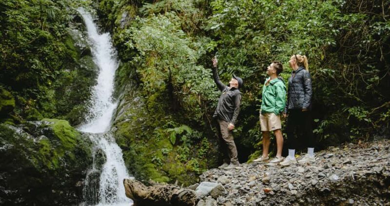 Motu River Jet Boat Tour - Key Points