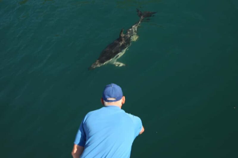 Motuara Island Sanctuary: Wildlife & Dolphin Watching Tour - The Experience of Guides and Conservation