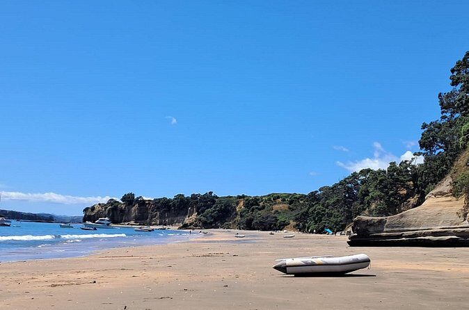 Motuihe Island Day Trip Ferry from Auckland - Why Choose This Trip?