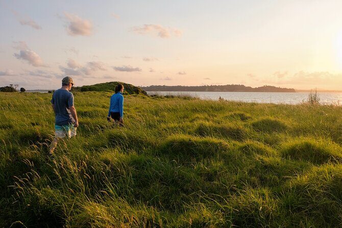 Motukorea / Browns Island Sea Kayak Journey - FAQs