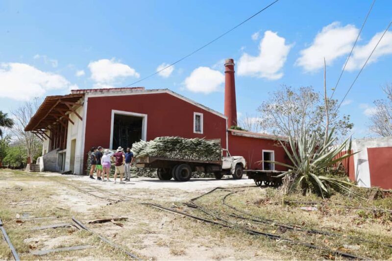 Motul, Hacienda, Xcambo, Pink Salt Mine & Progreso Day Trip - Progreso: Beachside Relaxation and Local Flavors