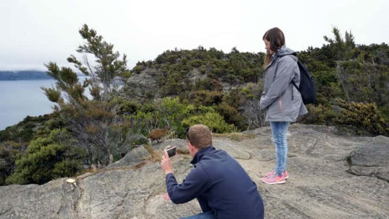 Mou Waho Island: 3-Hour Cruise and Guided Nature Walk - FAQs