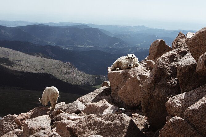Mount Blue Sky Alpine Summit & Red Rocks Tour from Denver - Accessibility and Physical Activity