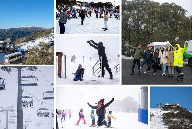 Mount Buller 1 Day Guided Tour - A Deep Dive Into the Mount Buller Experience