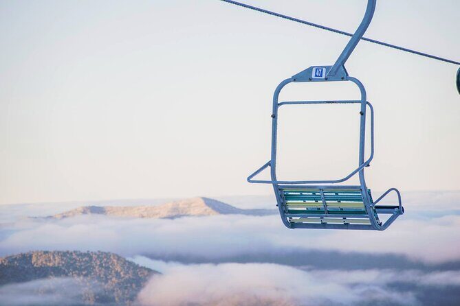 Mount Buller 1 Day Guided Tour - Authentic Insights from Past Travelers