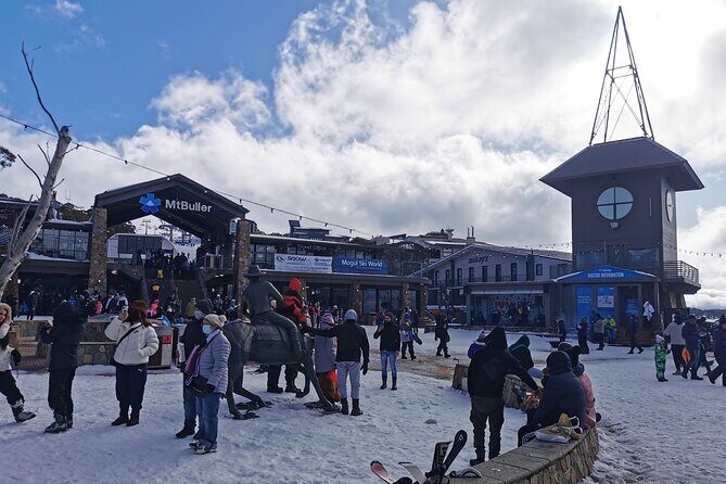 Mount Buller 1 Day Guided Tour - Transportation and Comfort