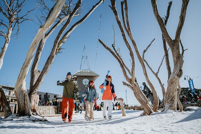 Mount Buller Day Tour from Melbourne - Key Points