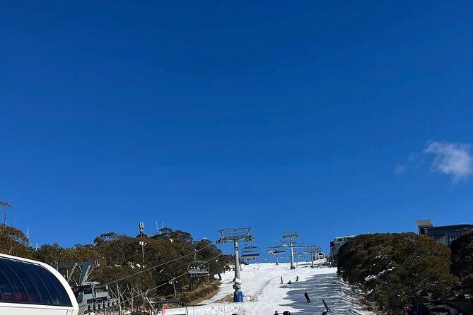 Mount Buller, Mount Hotham, Falls Creek Best Private Snow Tours - Exploring Victoria’s Snow Resorts with a Private Touch