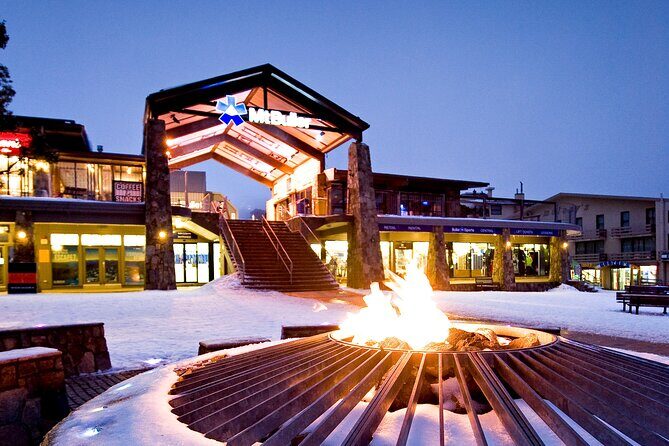 Mount Buller Sightseeing Tour - The Journey Begins: Starting Point & Early Morning Departure