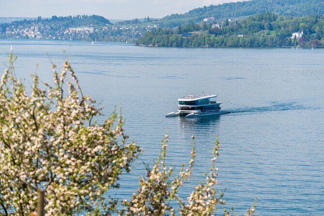 Mount Bürgenstock Independent Tour from Lucerne - Who Should Book This Tour?