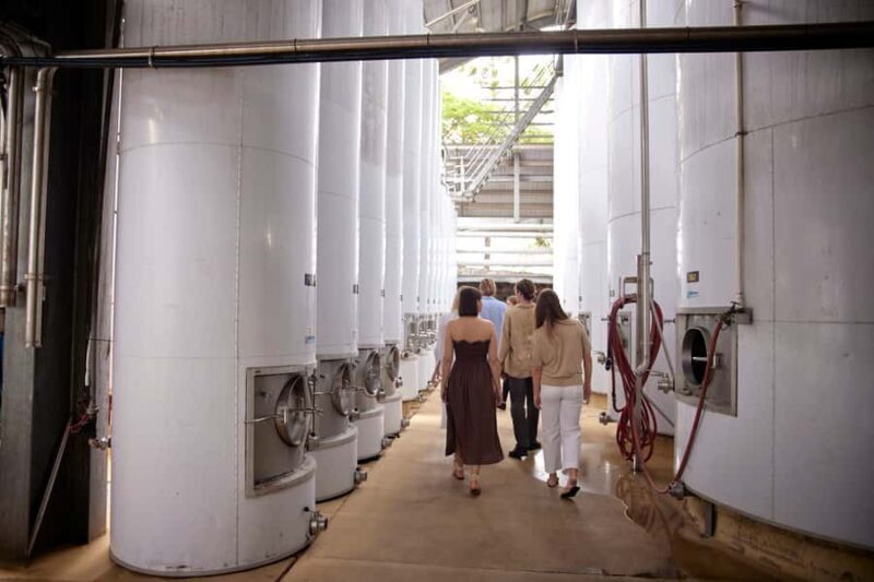 Mount Cotton: Winery Tour & Tasting with 3-Course Lunch - Dining in the Tuscan-Style Terrace