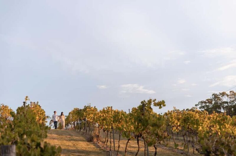 Mount Cotton: Winery Tour & Tasting with 3-Course Lunch - Who Will Love This Experience?