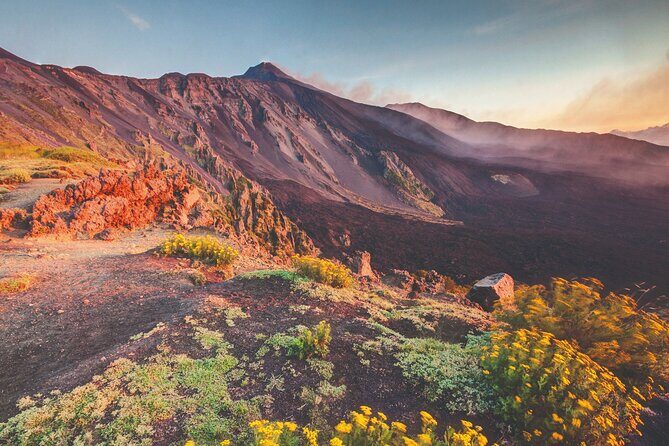 Mount Etna and Catania full day excursion from Malta to Sicily - Analyzing the Cost and Value