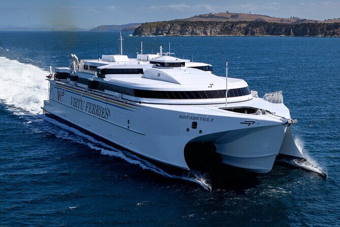 Mount Etna and Catania full day excursion from Malta to Sicily - Who Will Love This Tour?